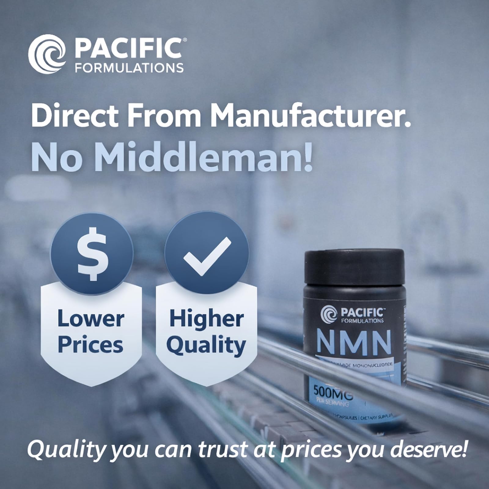 Boost metabolism with NMN 500 mg