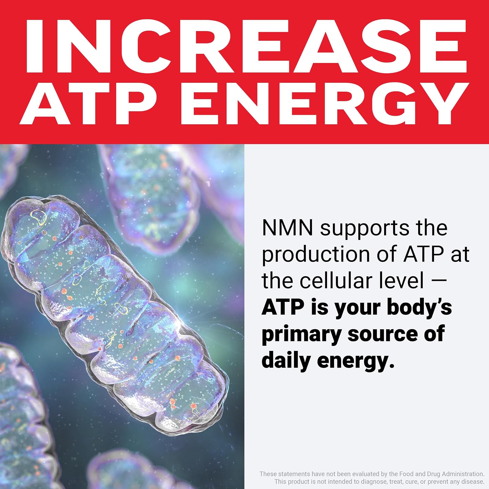 Boost metabolism with NMN capsules