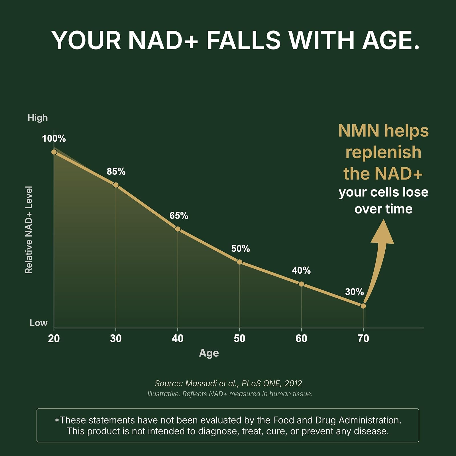 Boost metabolism with NMN capsules