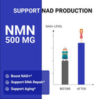 Boost metabolism with NMN