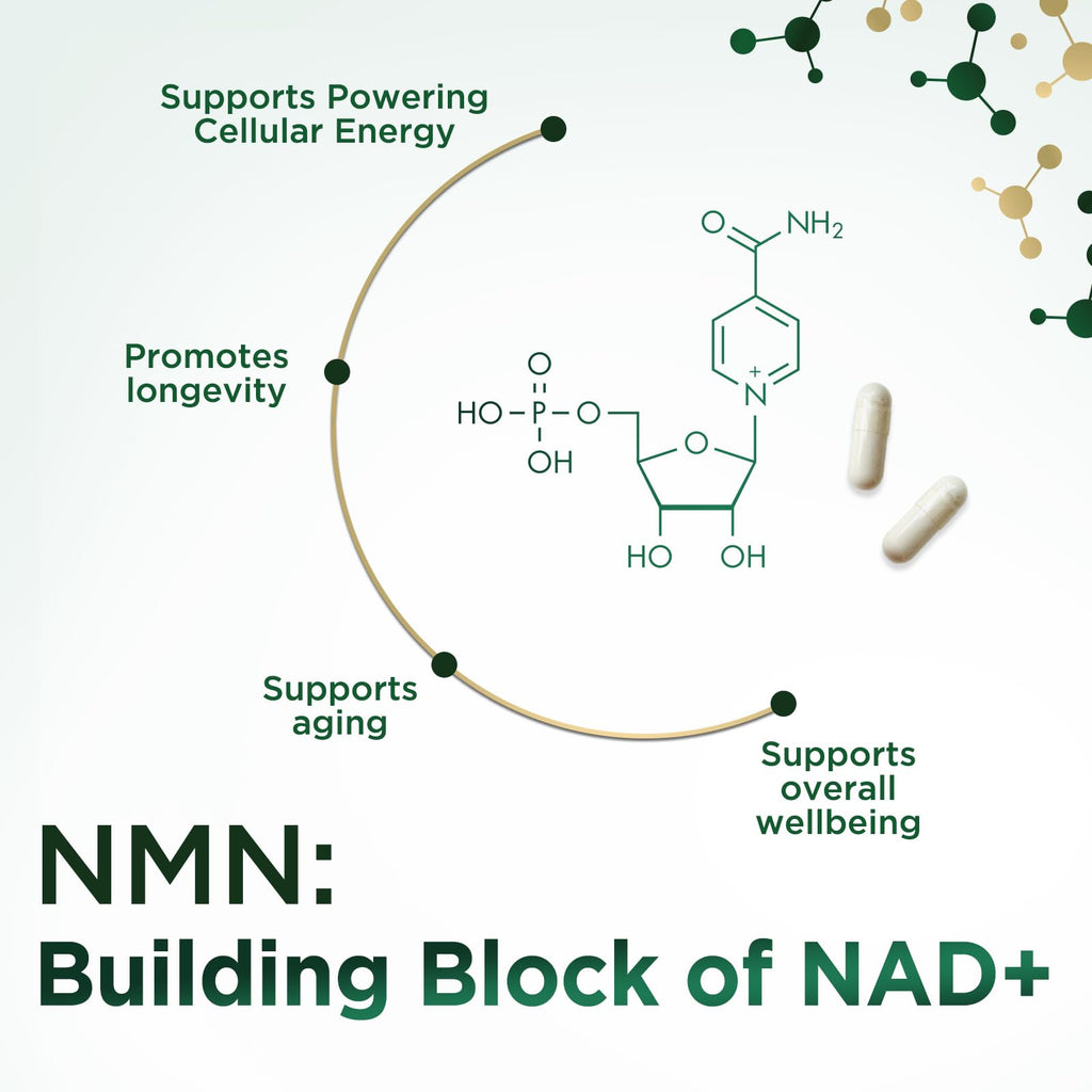 Boost metabolism with NMN