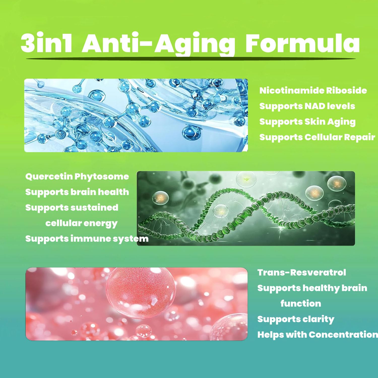 Boost metabolism with Renyqatt