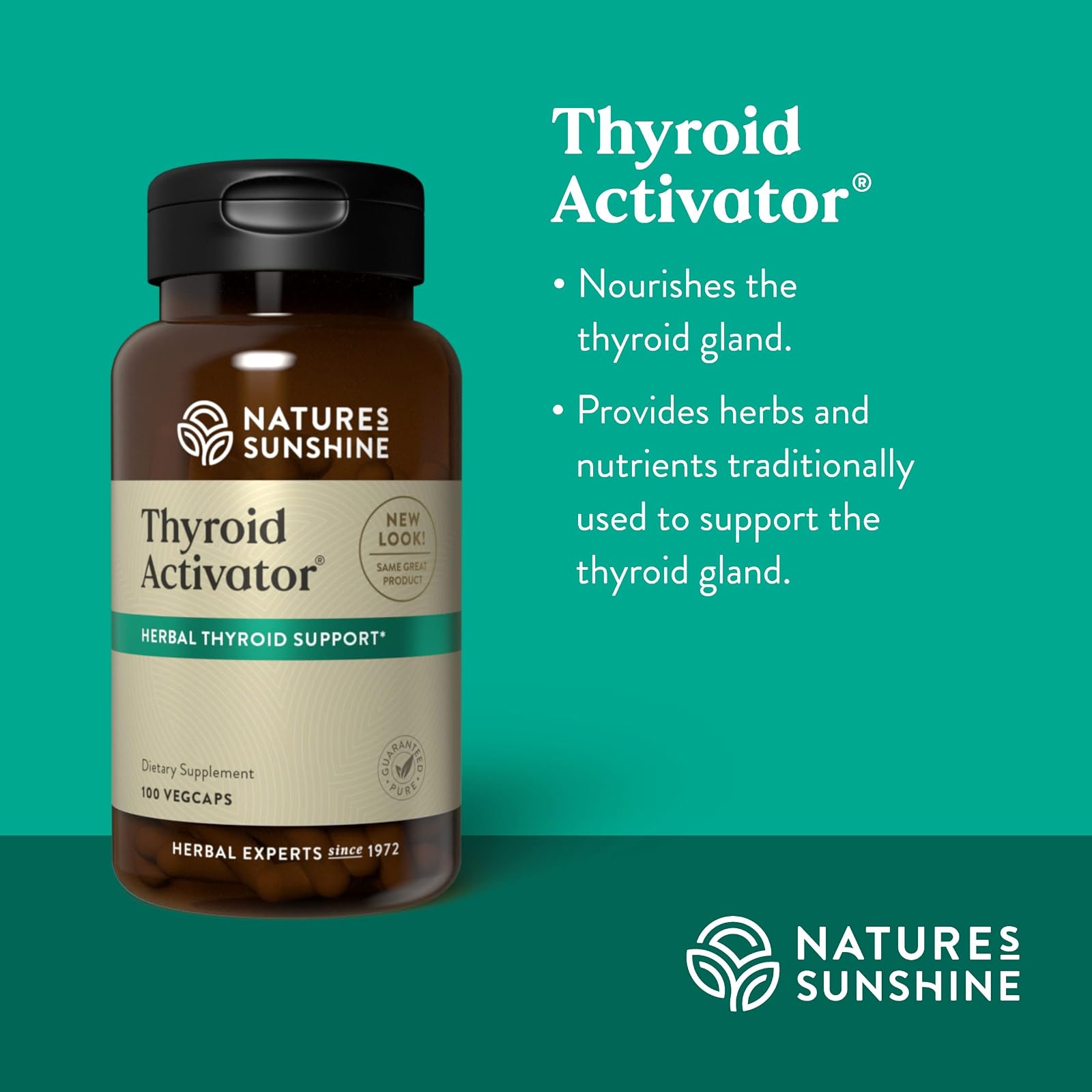 boost metabolism with thyroid extract