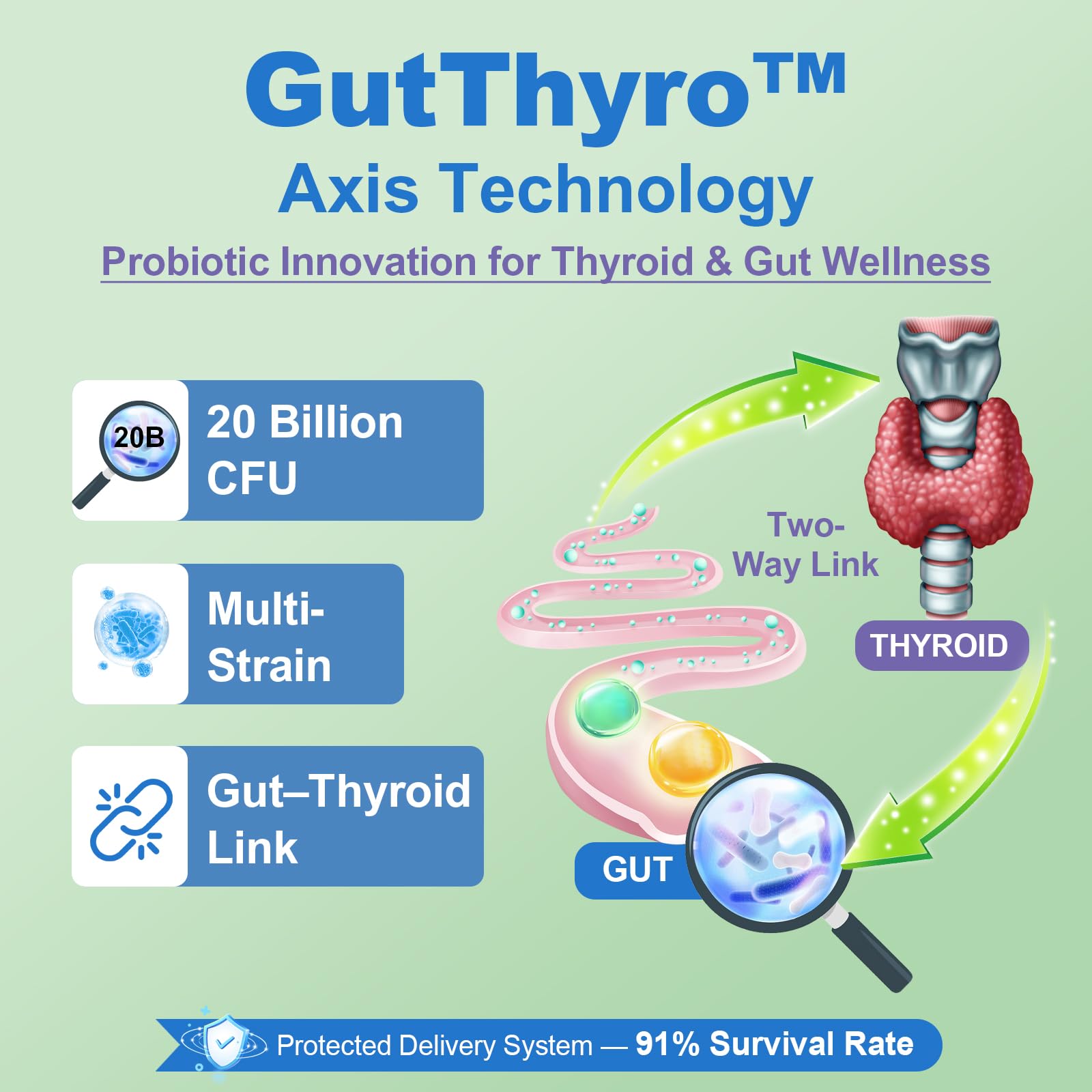 Boost metabolism with thyroid support