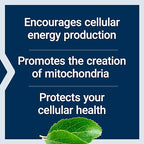 boost mitochondrial function naturally