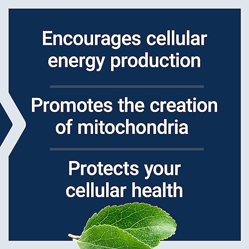 boost mitochondrial function naturally