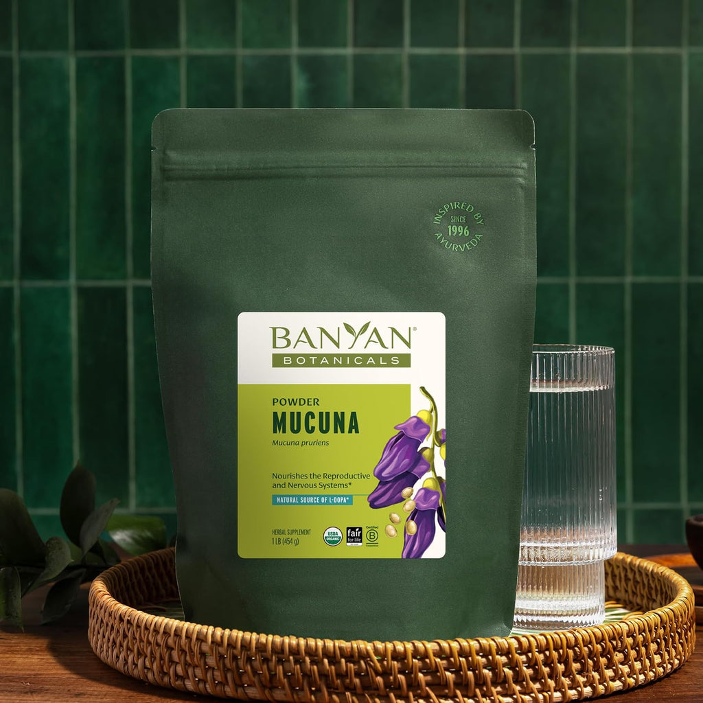Boost mood with Kapikacchu powder