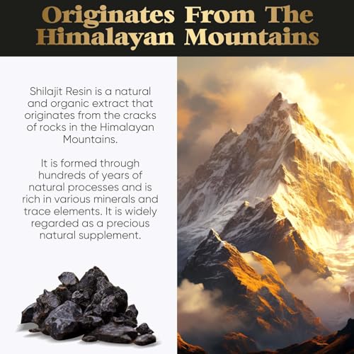 Boost overall health with Shilajit
