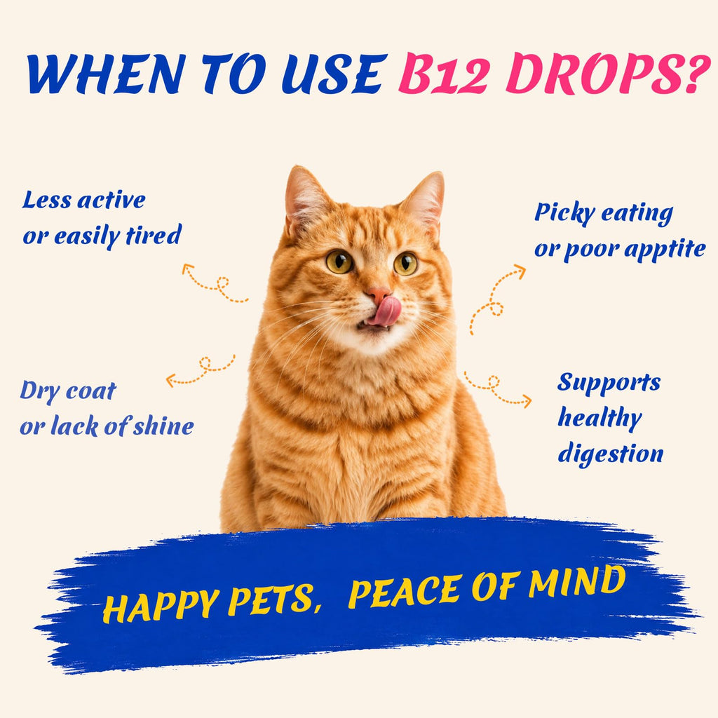 Boost pet energy levels