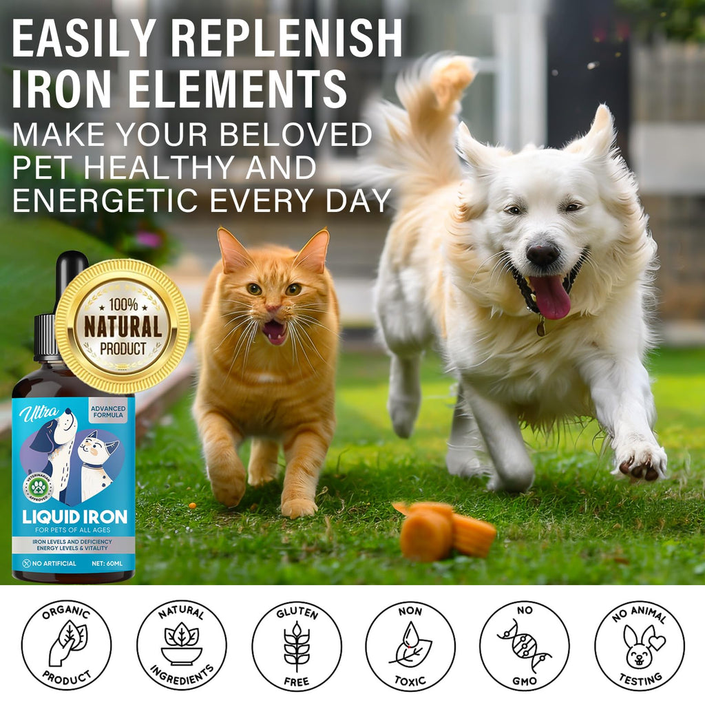 boost pet energy with iron
