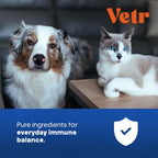 Boost pet immunity with Vetr