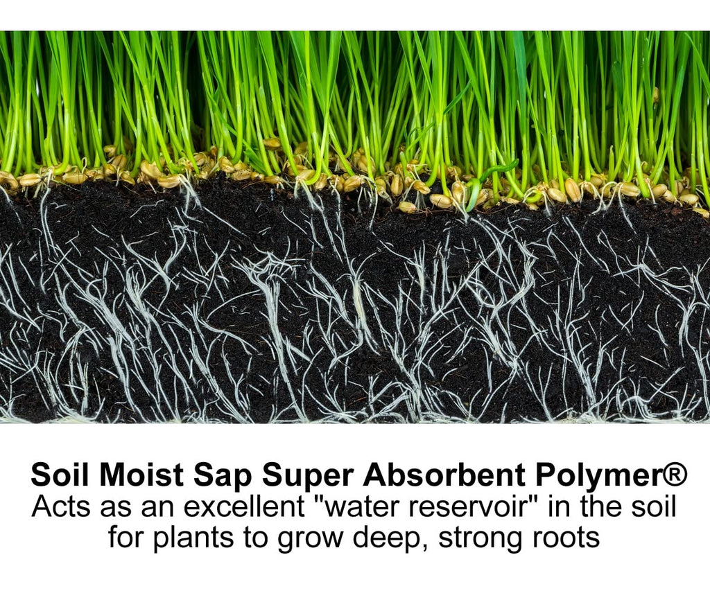 boost potassium for healthier plants