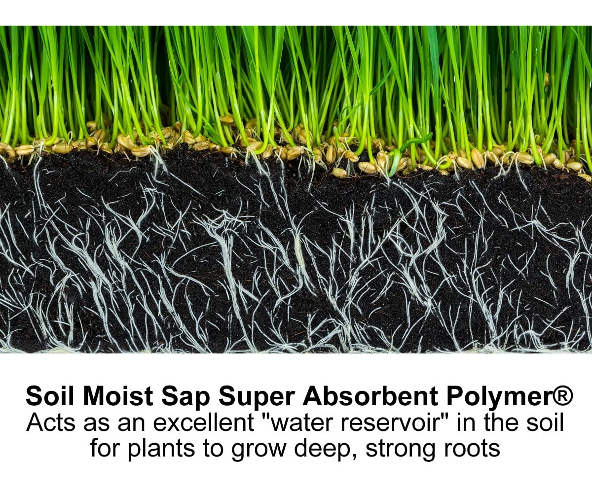 boost potassium for healthier plants