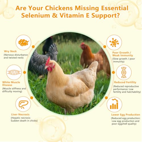 Boost poultry health with Vitamin E