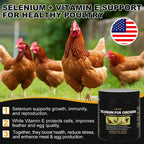 Boost poultry immune system naturally