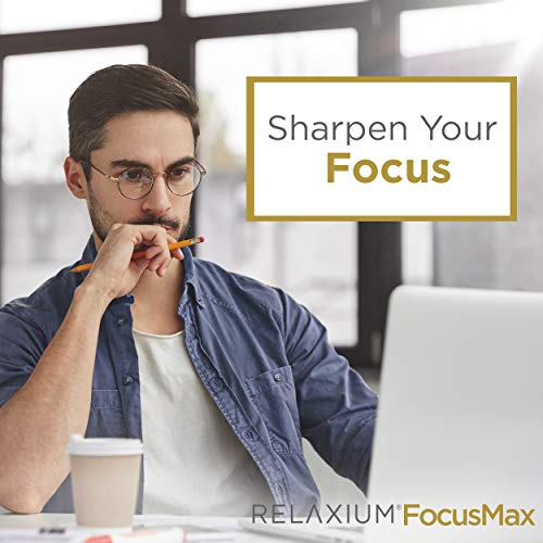 boost productivity with brain supplements