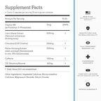 boost productivity with herbal nootropic