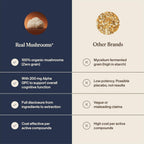 boost productivity with lion's mane