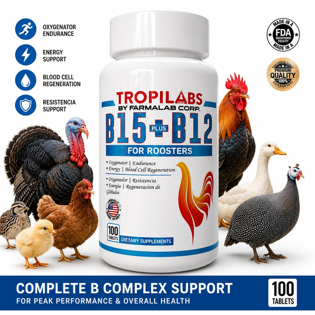 Boost rooster vitality with B12