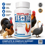 Boost rooster vitality with B12