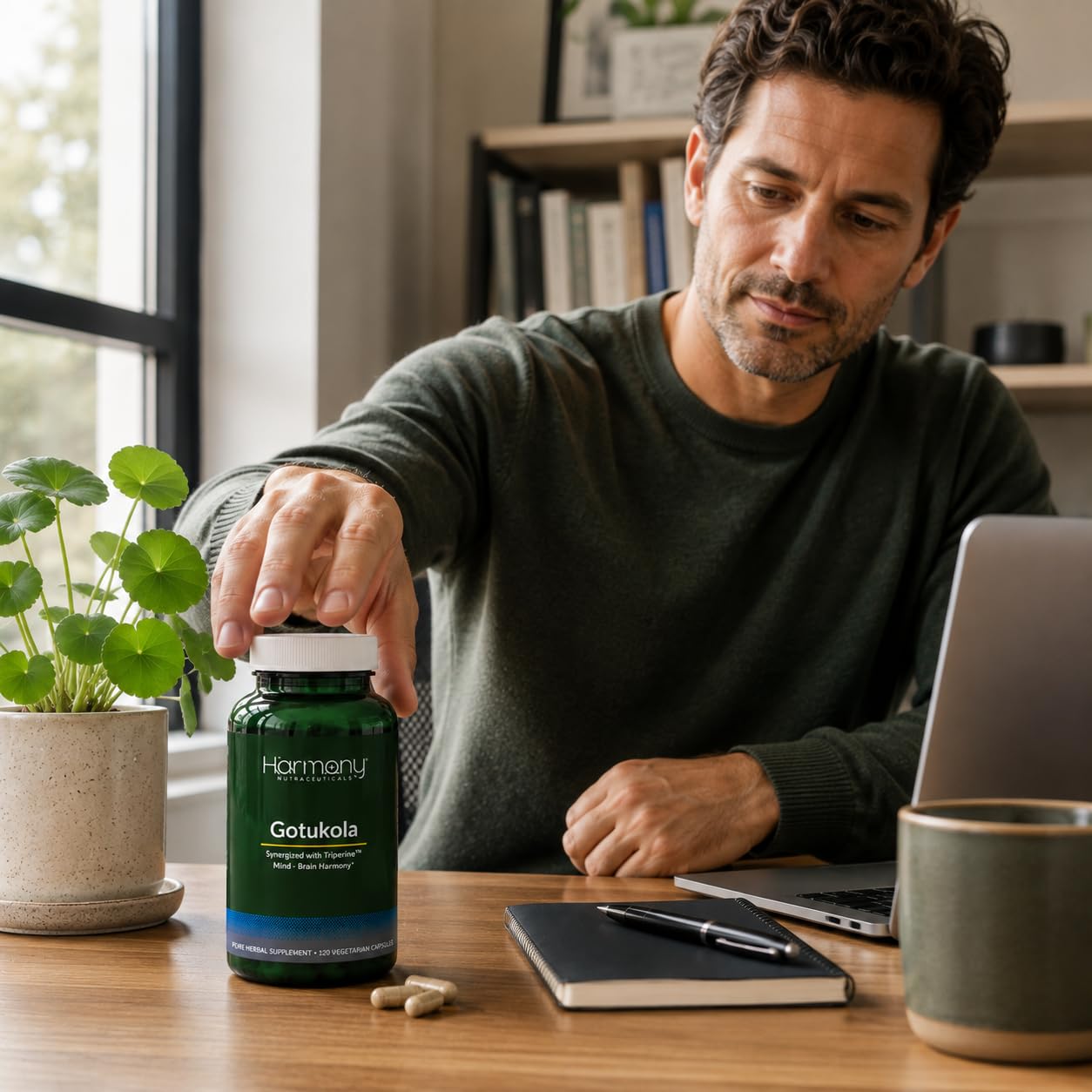 Boost skin health with Gotu Kola