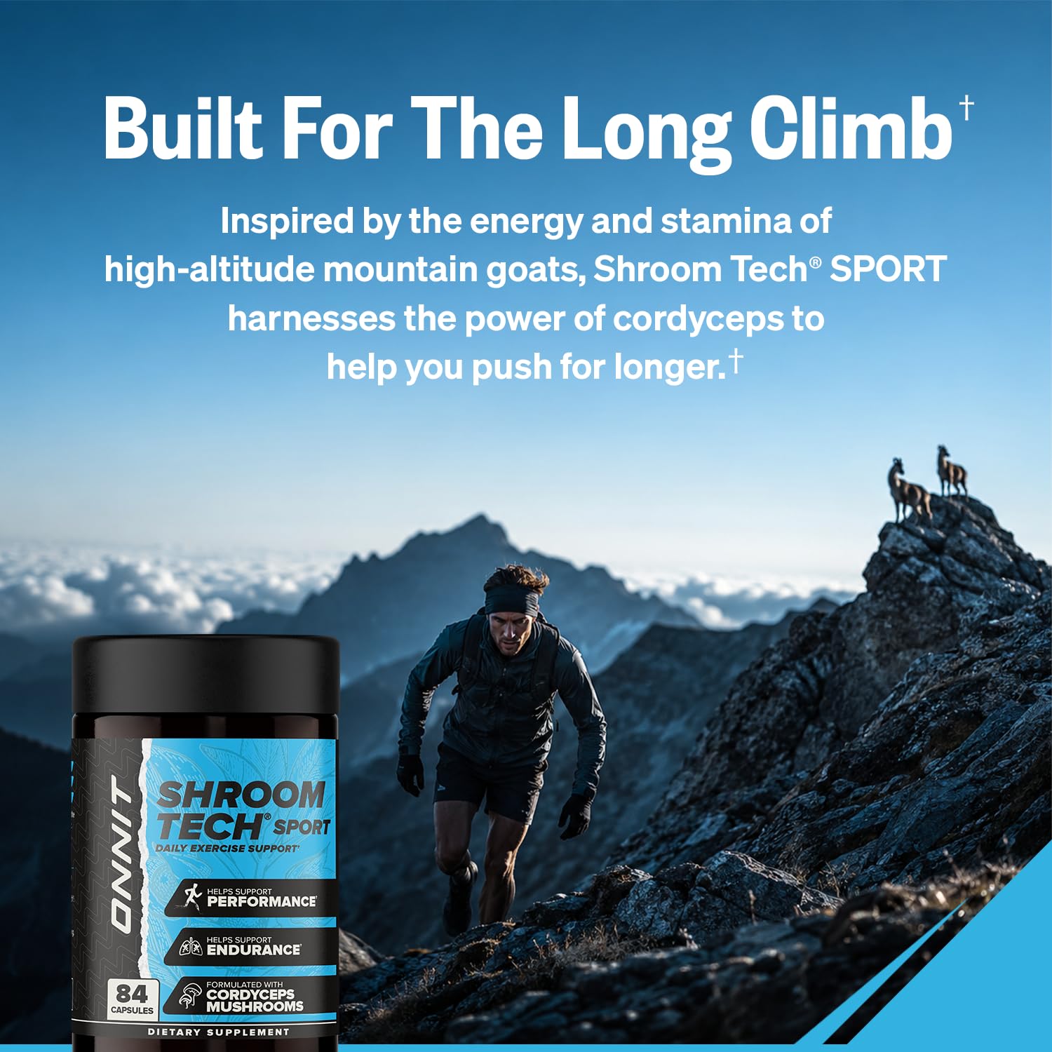 boost stamina using cordyceps supplements