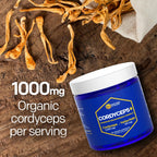 boost stamina with cordyceps capsules