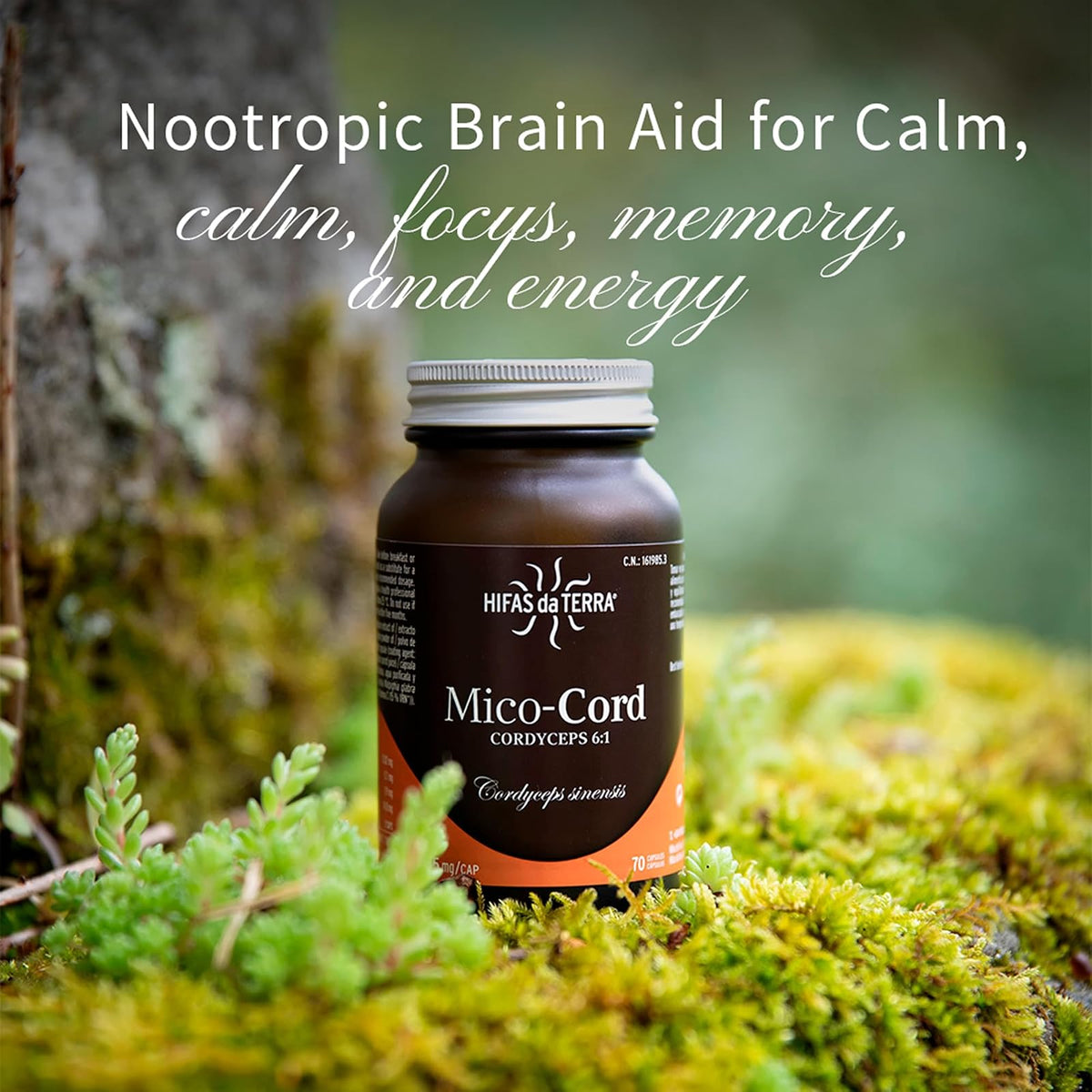 Boost stamina with Cordyceps capsules