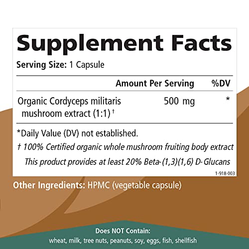 boost stamina with cordyceps mushrooms