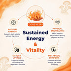 Boost stamina with Cordyceps powder