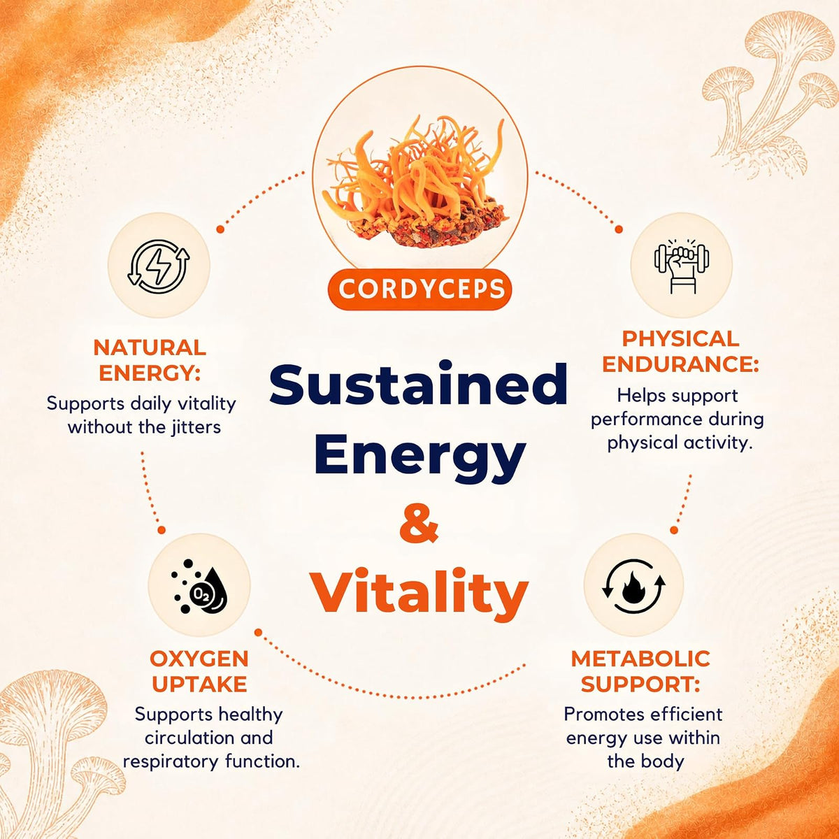 Boost stamina with Cordyceps powder