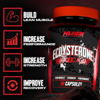 Boost strength with Huge Supplements Ecdysterone