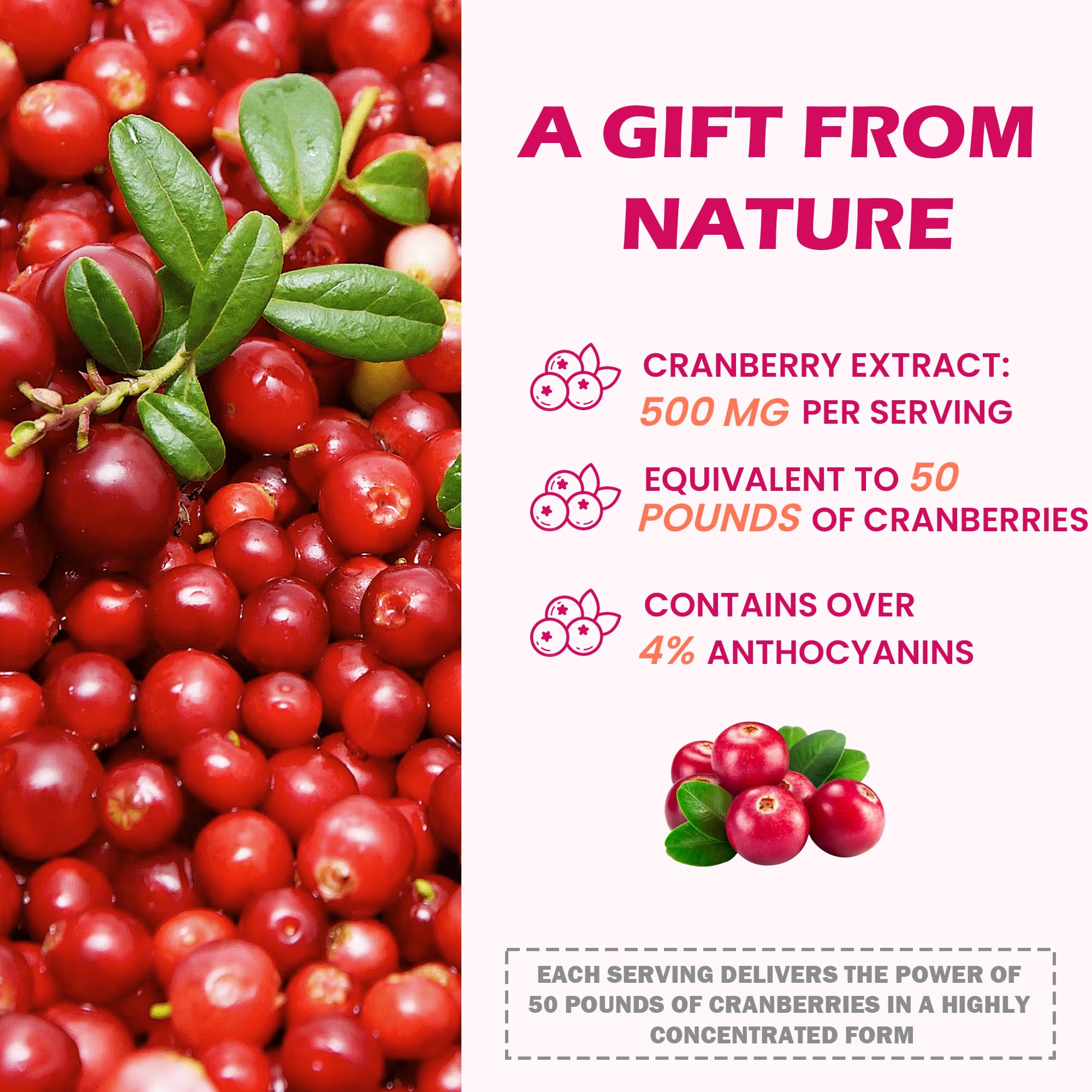 boost urinary tract wellness