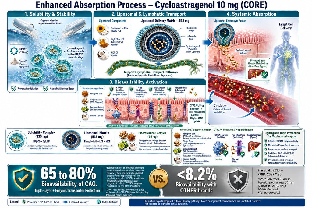 boost vitality with Cycloastragenol