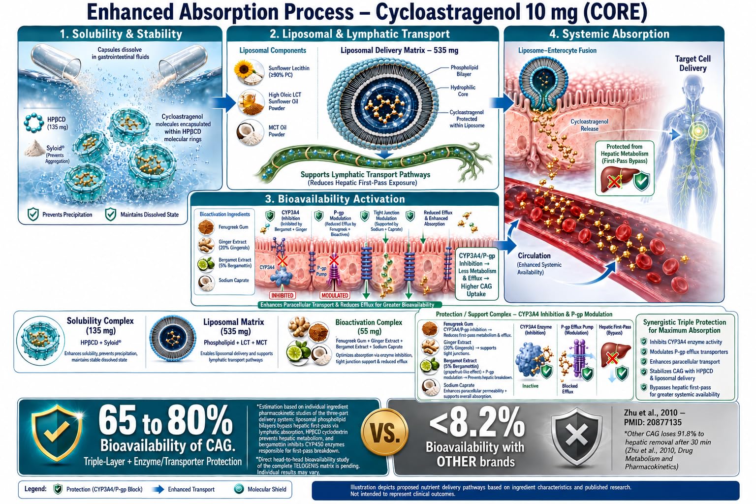 boost vitality with Cycloastragenol