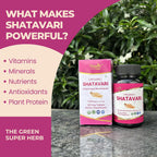 Boost vitality with Shatavari capsules