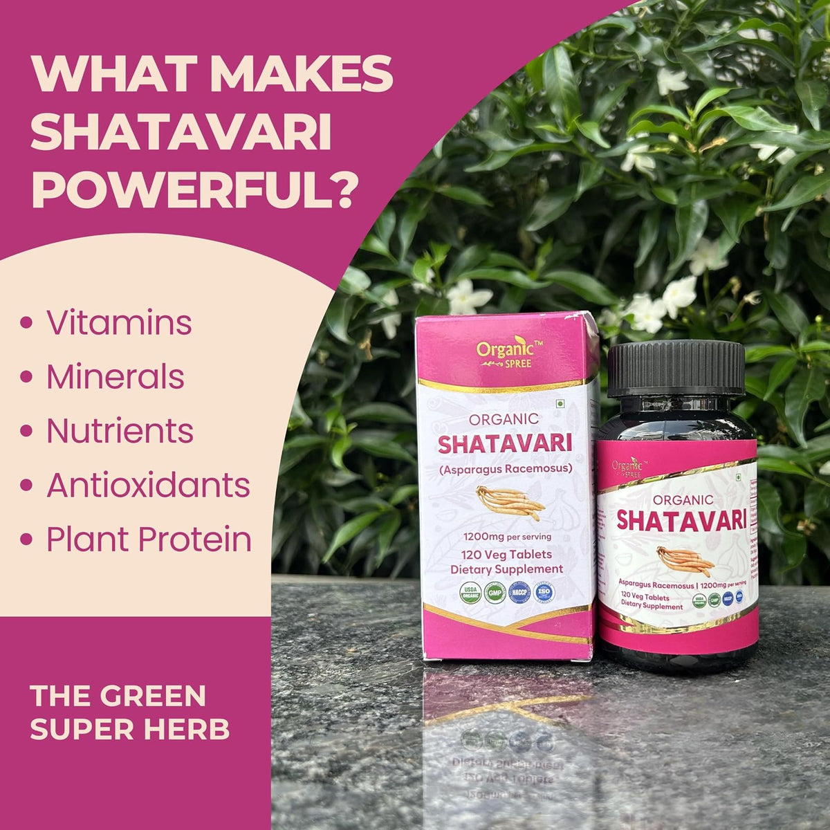 Boost vitality with Shatavari capsules