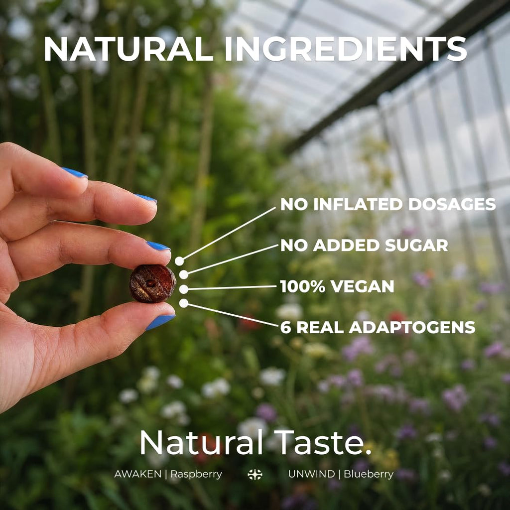 Boost vitality with Shilajit gummies