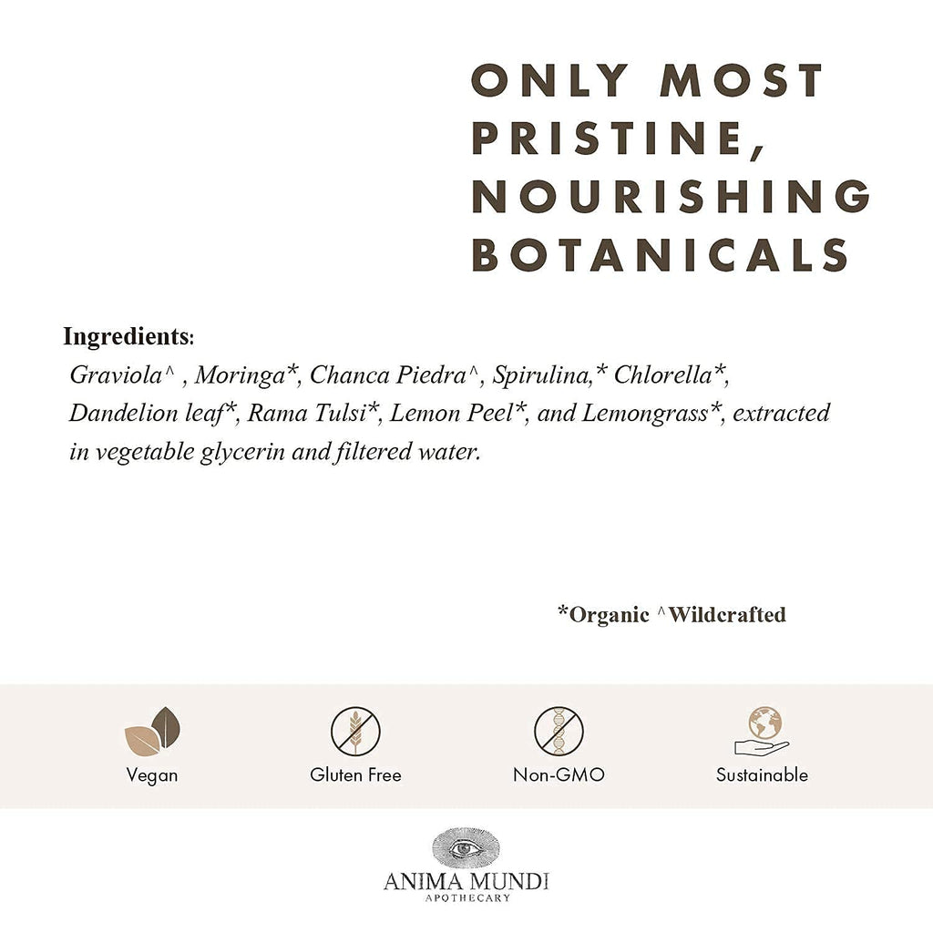 boost wellness with detox tea