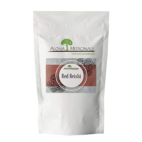 boost wellness with reishi mushrooms