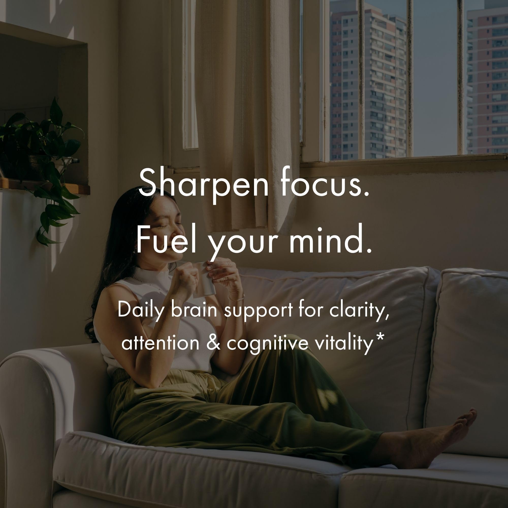 boost working memory with ginkgo biloba