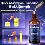 boost your antioxidant levels
