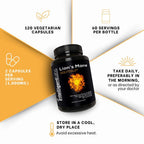 boost your brain health lion's mane