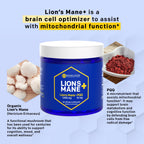 boost your brain with lion's mane