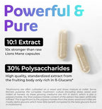 boost your brain with lion's mane