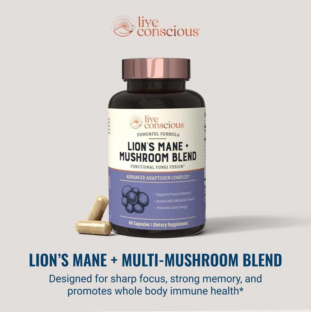 boost your brain with lion's mane