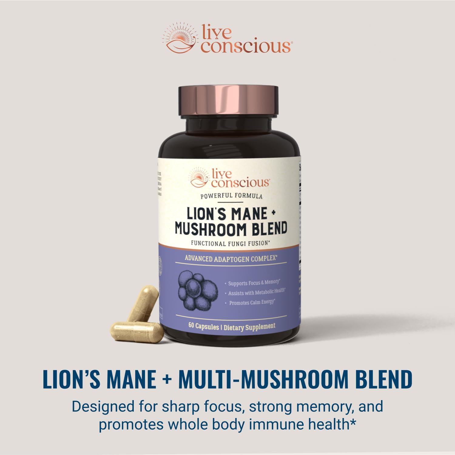 boost your brain with lion's mane