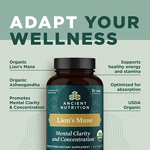 boost your brain with lion's mane