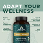 boost your brain with lion's mane