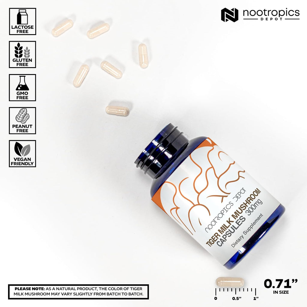 Boost your brain with Tiger Milk Mushroom